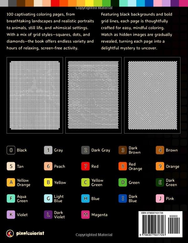 100 Color by Number Mysteries Book – Coraf
